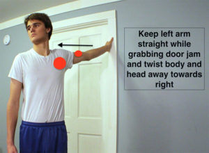 Pectoralis / Chest - Biceps - Tim Manahan’s Osteopathic Services