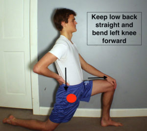 Hip Flexor / Iliopsoas - Tim Manahan’s Osteopathic Services